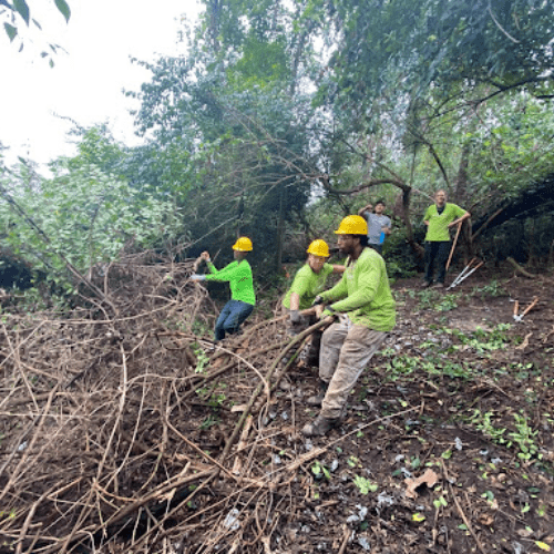 Green Infrastructure Advisory Board | ICLEI USA